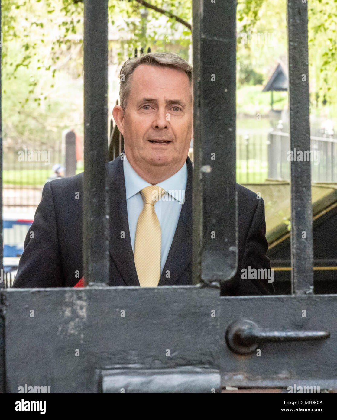 Brexit liam fox hi-res stock photography and images - Alamy