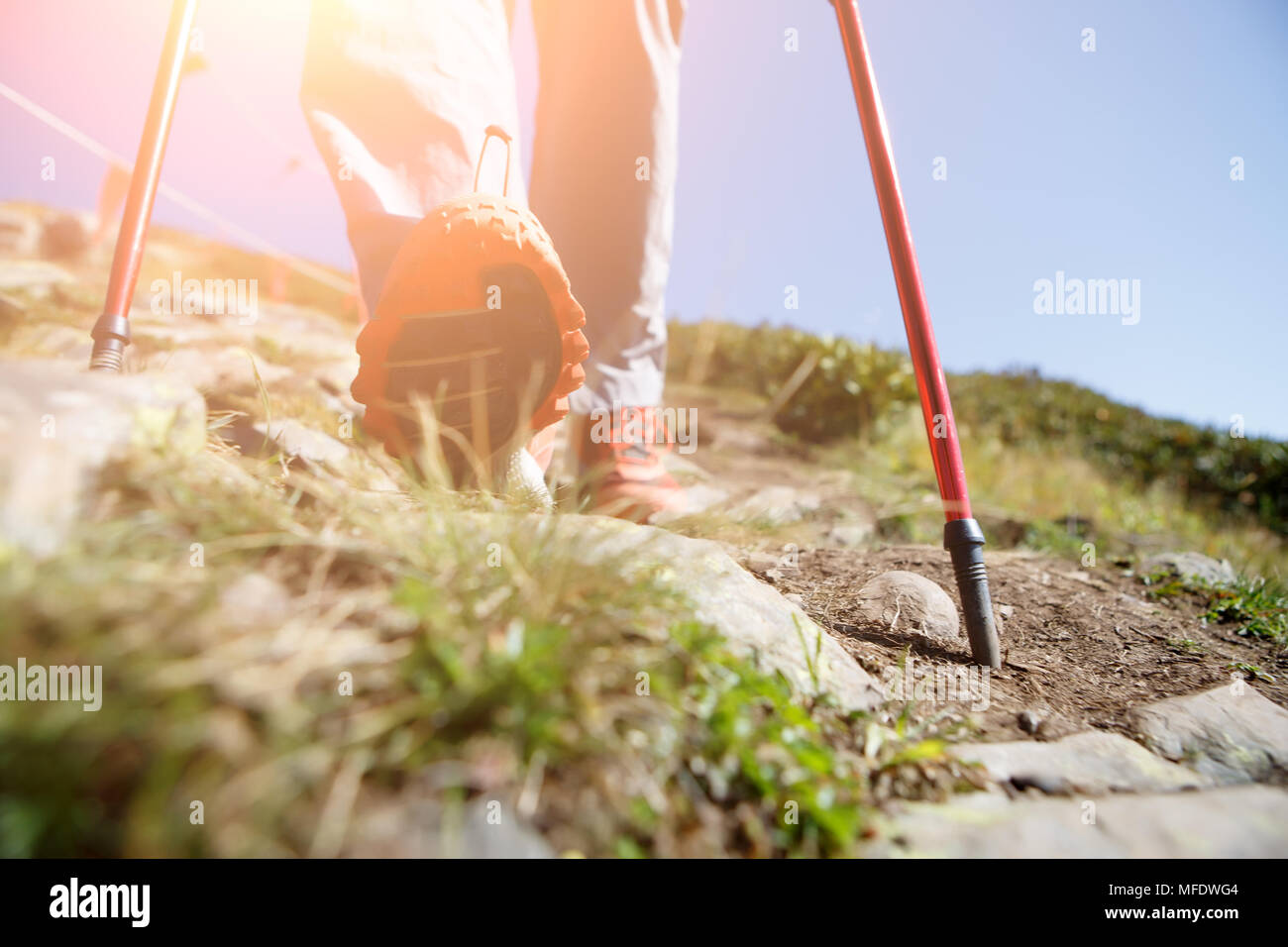 Walking sticks picture hi-res stock photography and images - Alamy