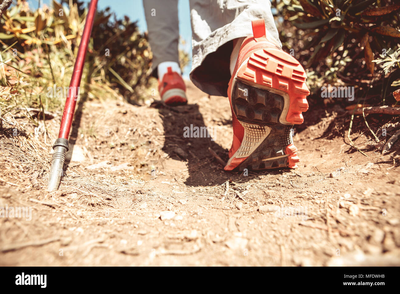Picture of tourist human with sticks for sport walking Stock Photo - Alamy