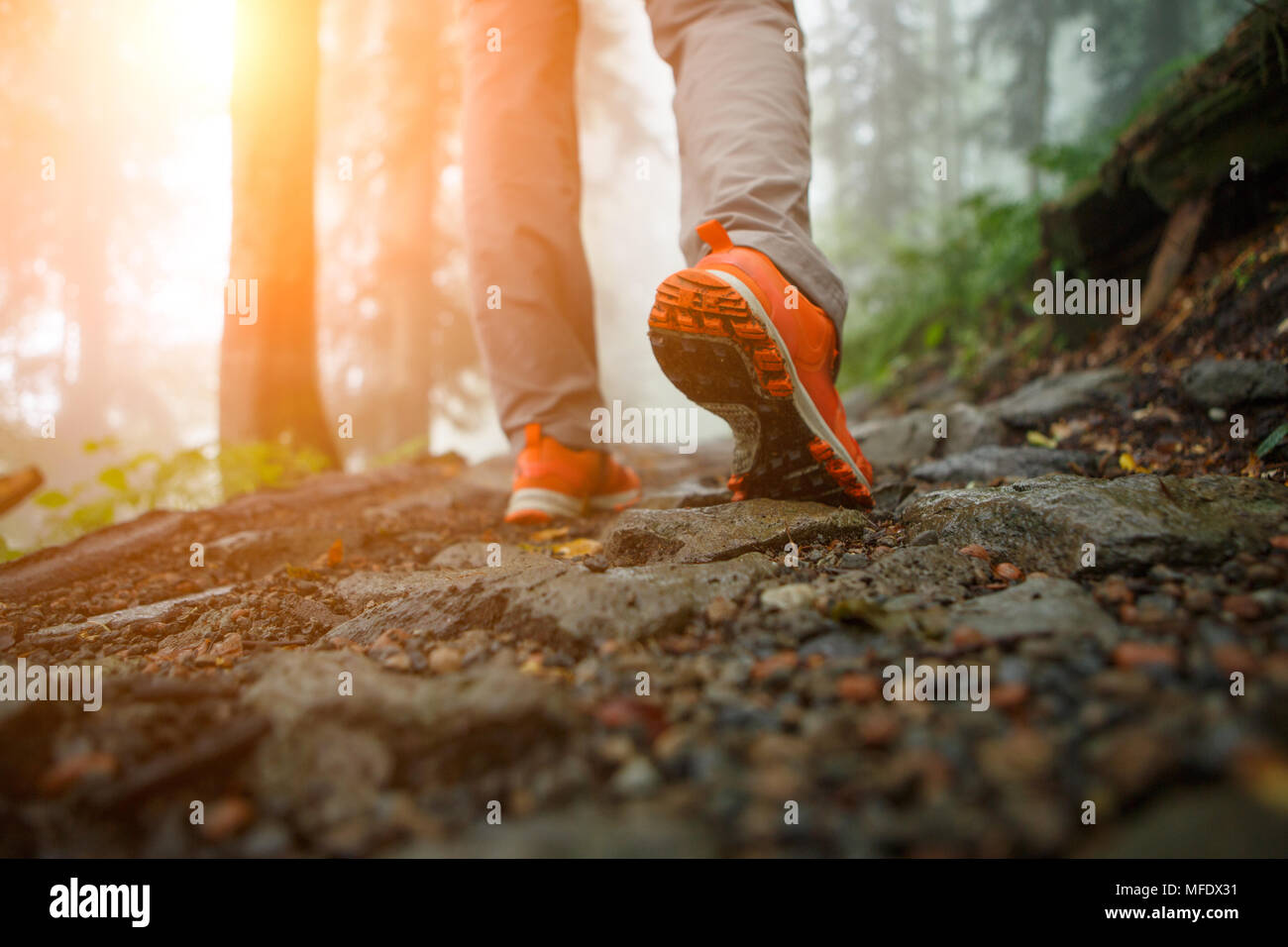 Photo of human walking on ladder of logs Stock Photo - Alamy