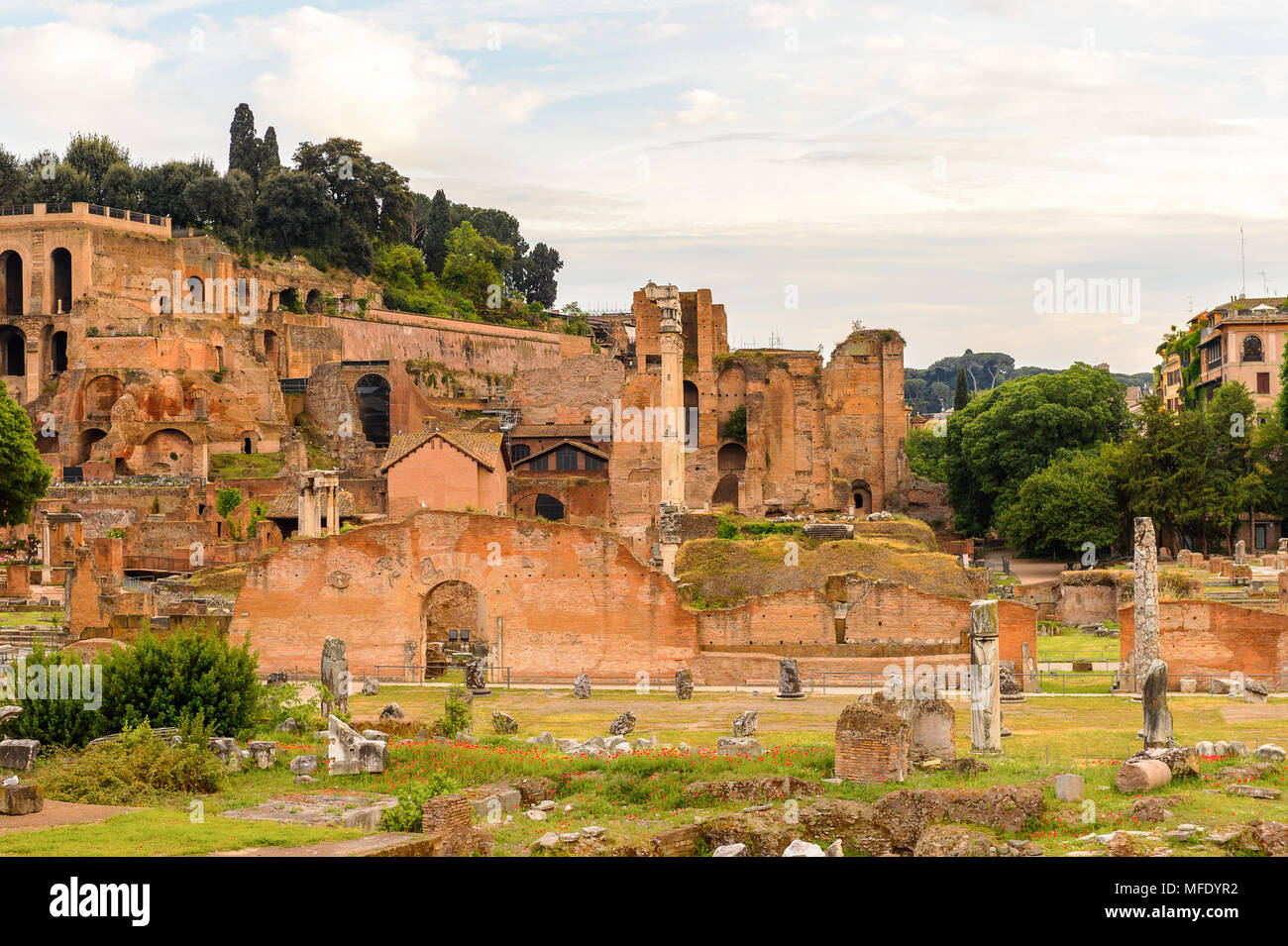 Roman Forum in the evening, a rectangular forum surrounded by the ruins ...