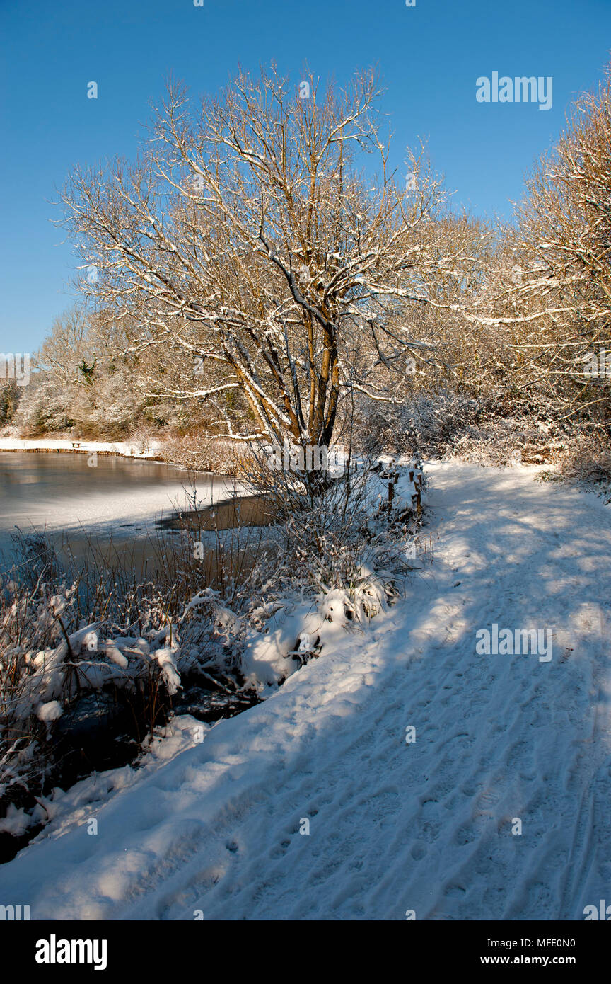 The frozen Barden Lake, in Tonbridge, Kent, UK during the cold spell of ...