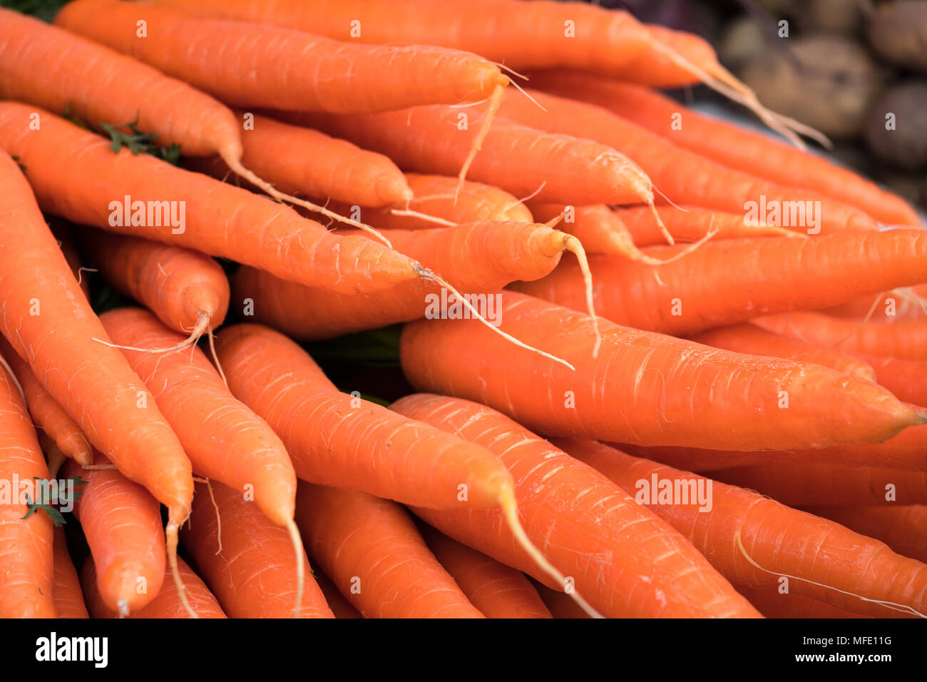 fresh carrots at the market popular cooking vegetable Stock Photo - Alamy