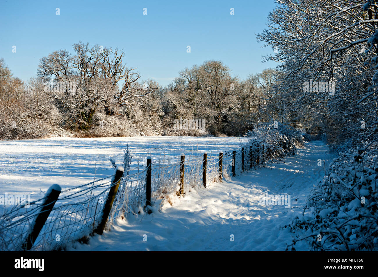 Covered footpath hi-res stock photography and images - Alamy