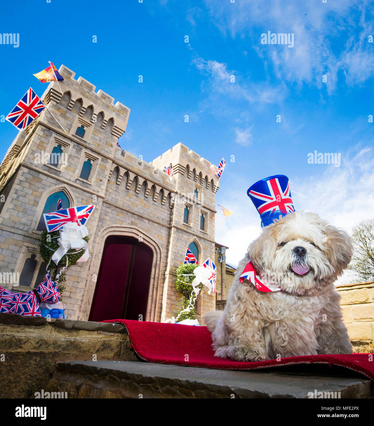 Susan crossland hi-res stock photography and images - Alamy