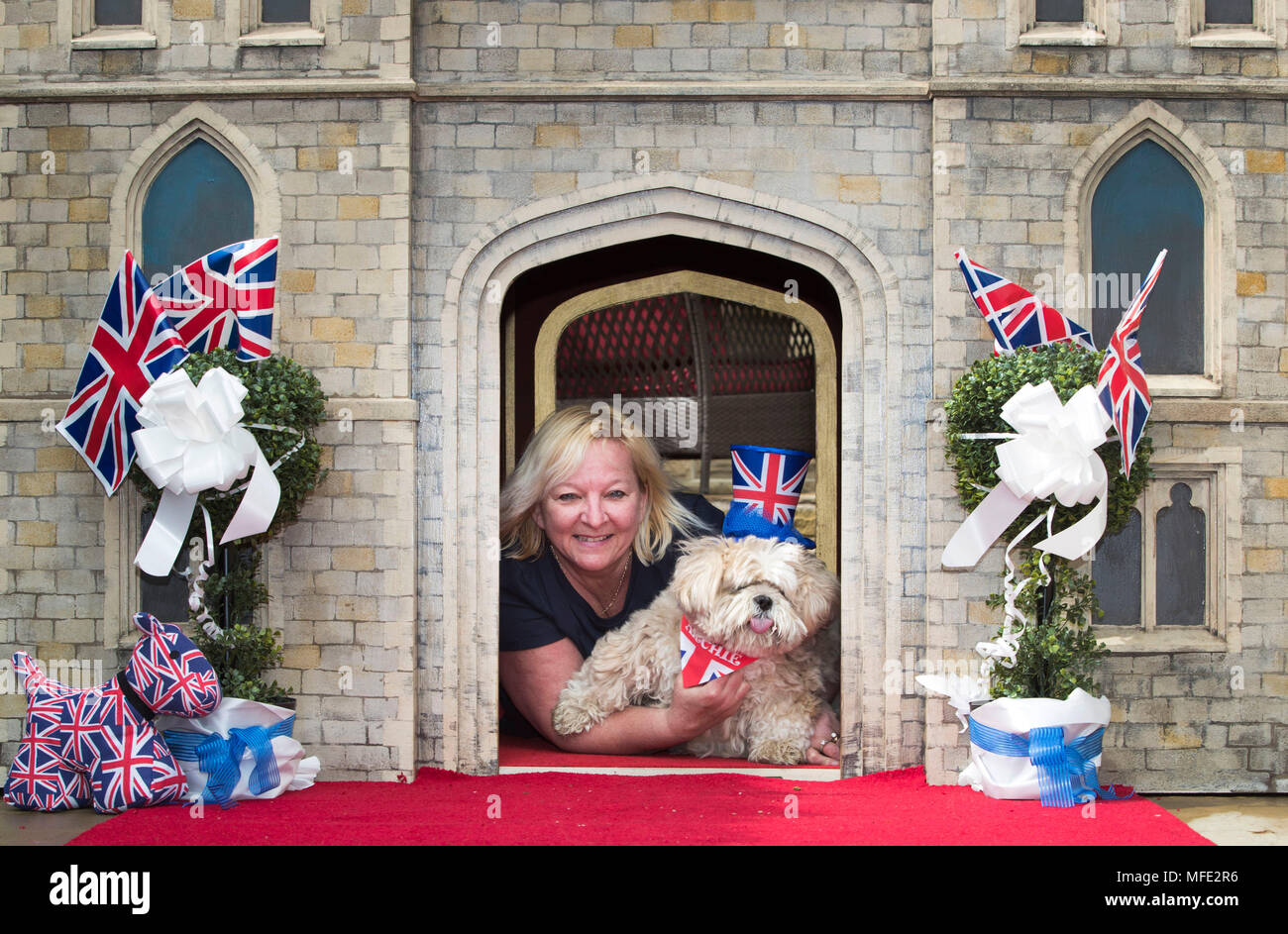 Lottery winner Susan Crossland with her dog Archie the Lhasa Apso and ...