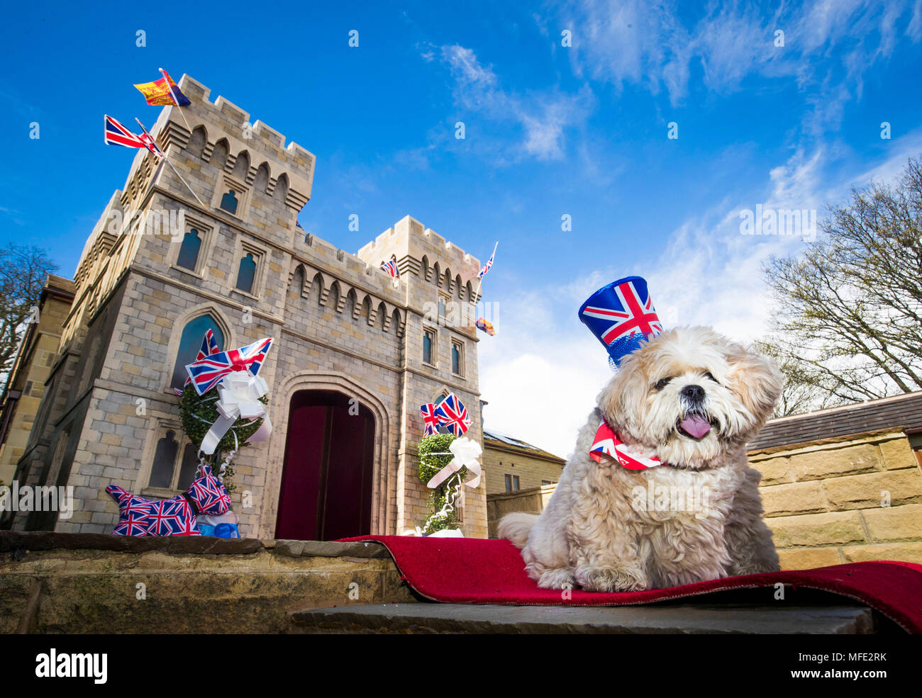 Archie the Lhasa Apso and his new kennel, a replica of Windsor Castle ...