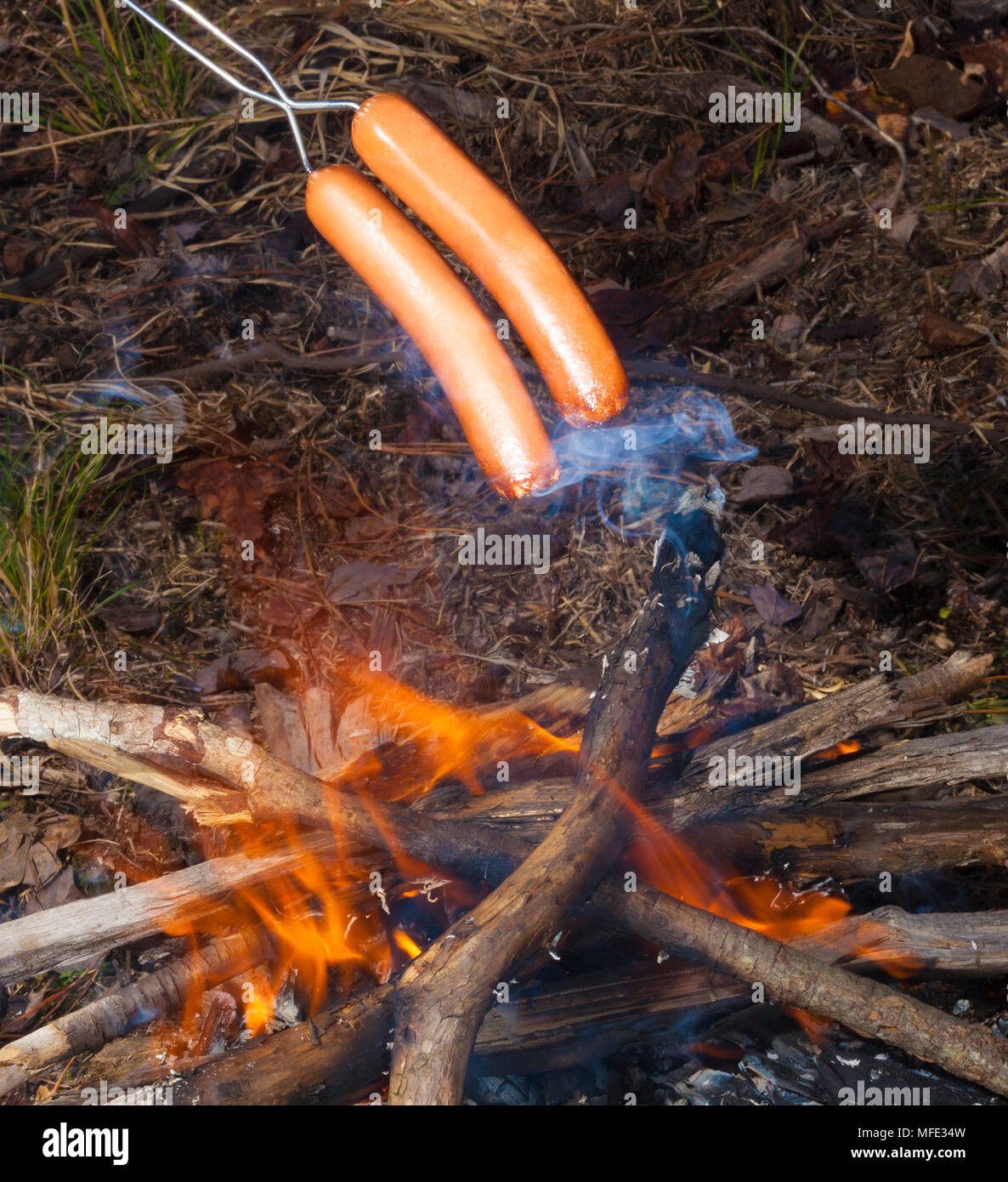Hot dogs in the smoke from a small campfire Stock Photo - Alamy