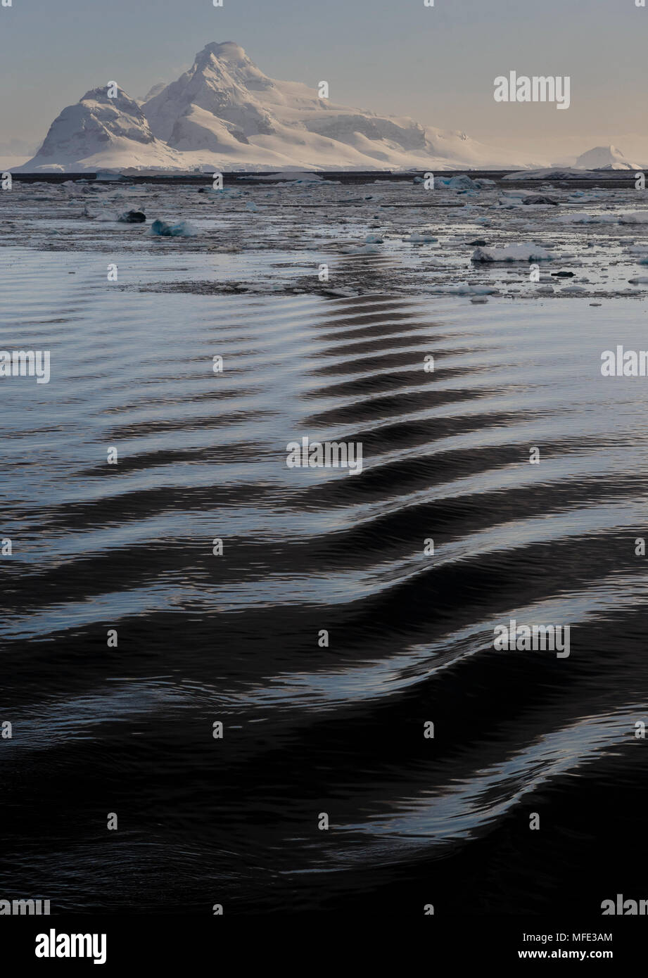 Ripples behind ship; Antarctica Stock Photo - Alamy