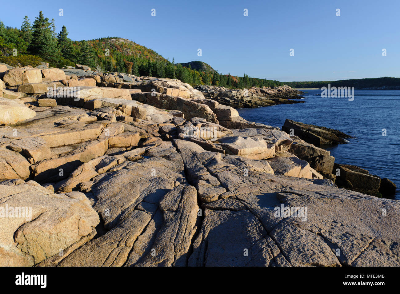 The granite coast of Acadia National Park; Maine Stock Photo - Alamy