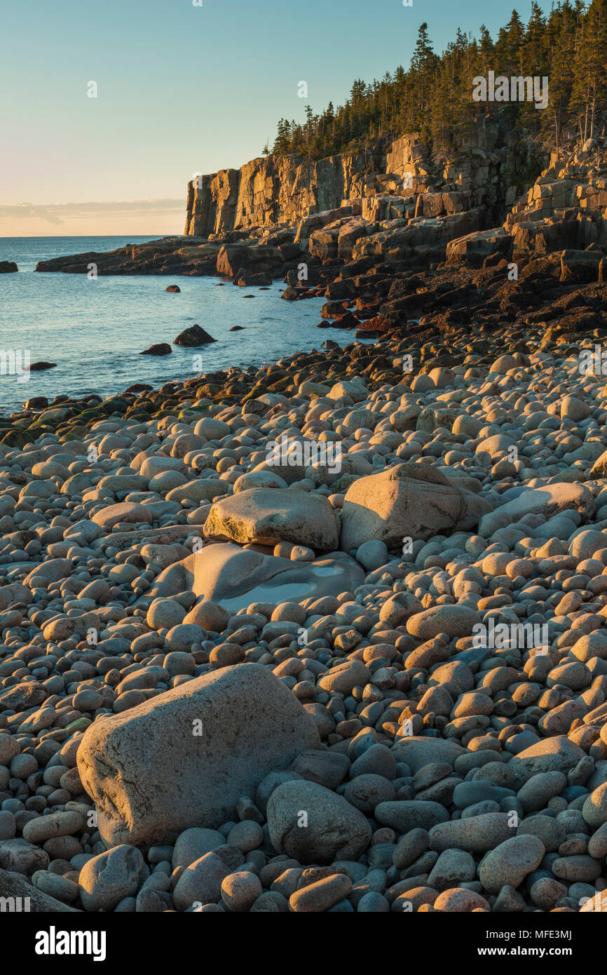Cobble beach below Otter Cliffs; Acadia National Park, Maine Stock ...