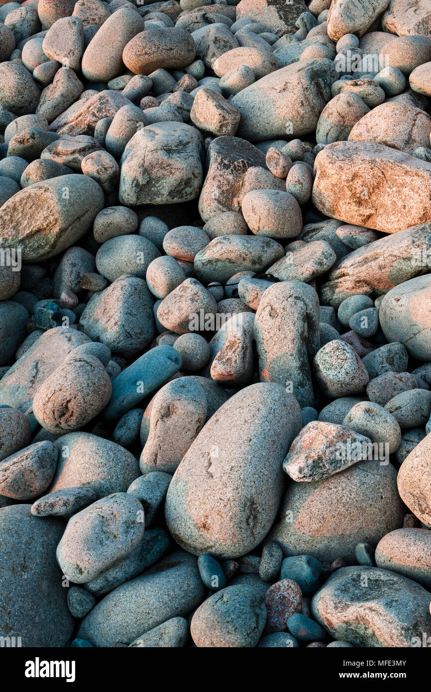 Rounded cobble stones; Acadia National Park, Maine Stock Photo - Alamy