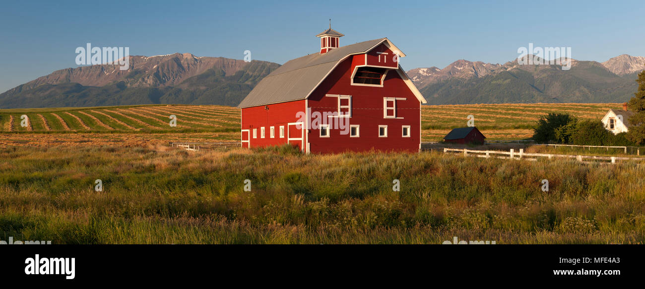 Barn at the base of Wallowa Mountains, near Enterprise, Oregon Stock ...