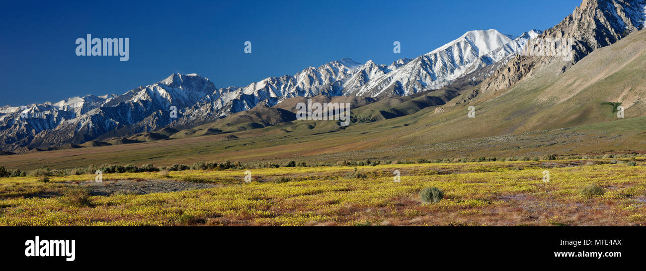 Eastern aberdeen hi-res stock photography and images - Alamy