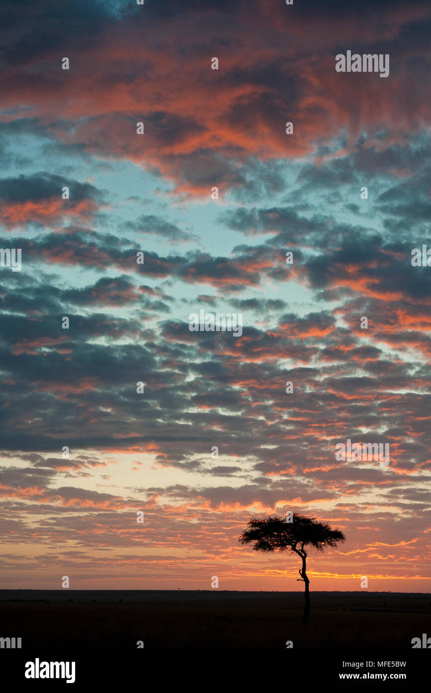 African sky hi-res stock photography and images - Alamy
