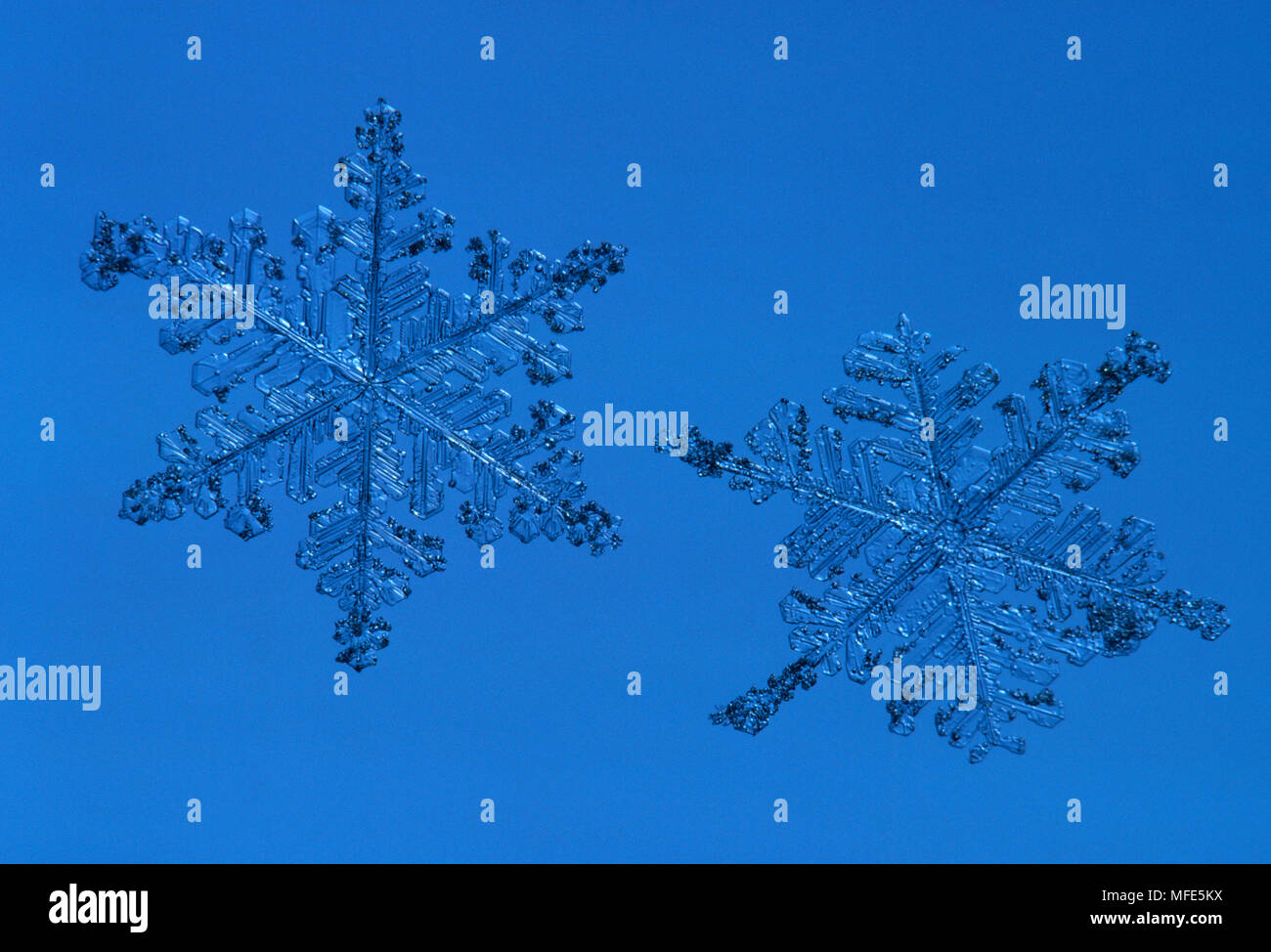 SNOWFLAKES magnified to show hexagonal ice crystal structure Stock ...