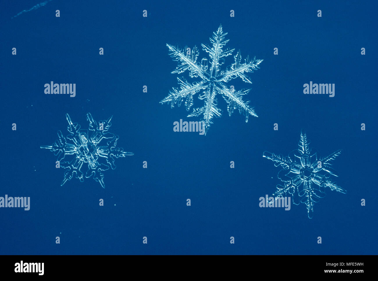 SNOWFLAKES highly magnified to show hexagonal crystal form Stock Photo ...