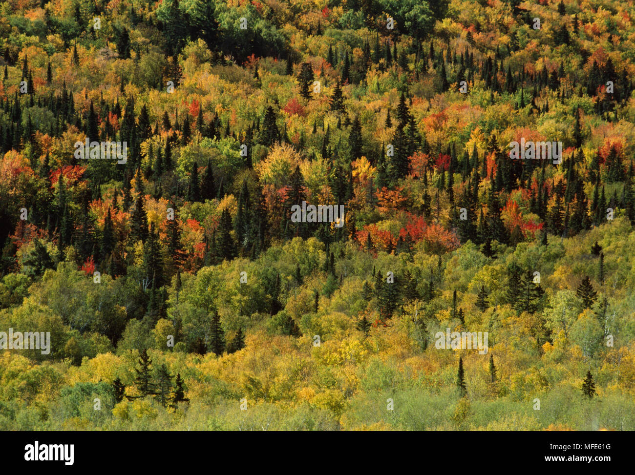 Jsh001237a hi-res stock photography and images - Alamy