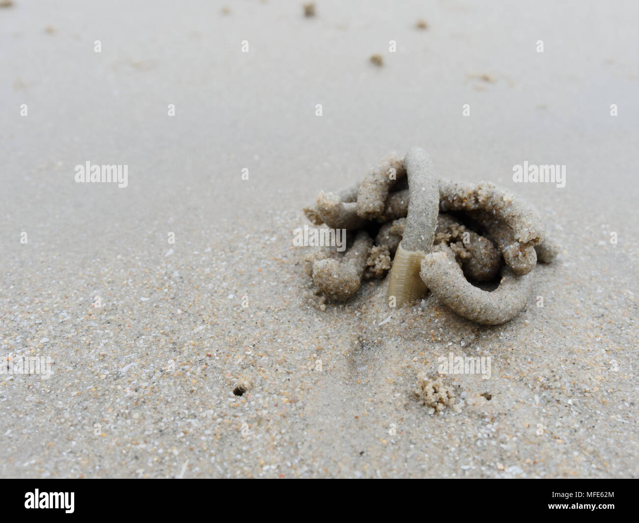 Abstract shape of swirl of sand and mud on the beach cast by lug or ...