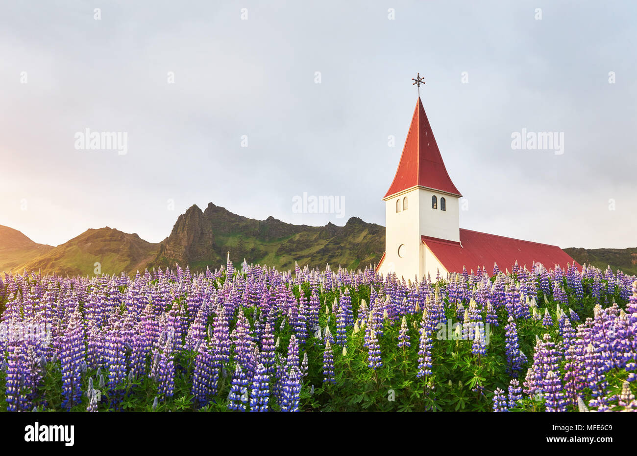 Great view of Vikurkirkja christian church in evening light. Dramatic ...