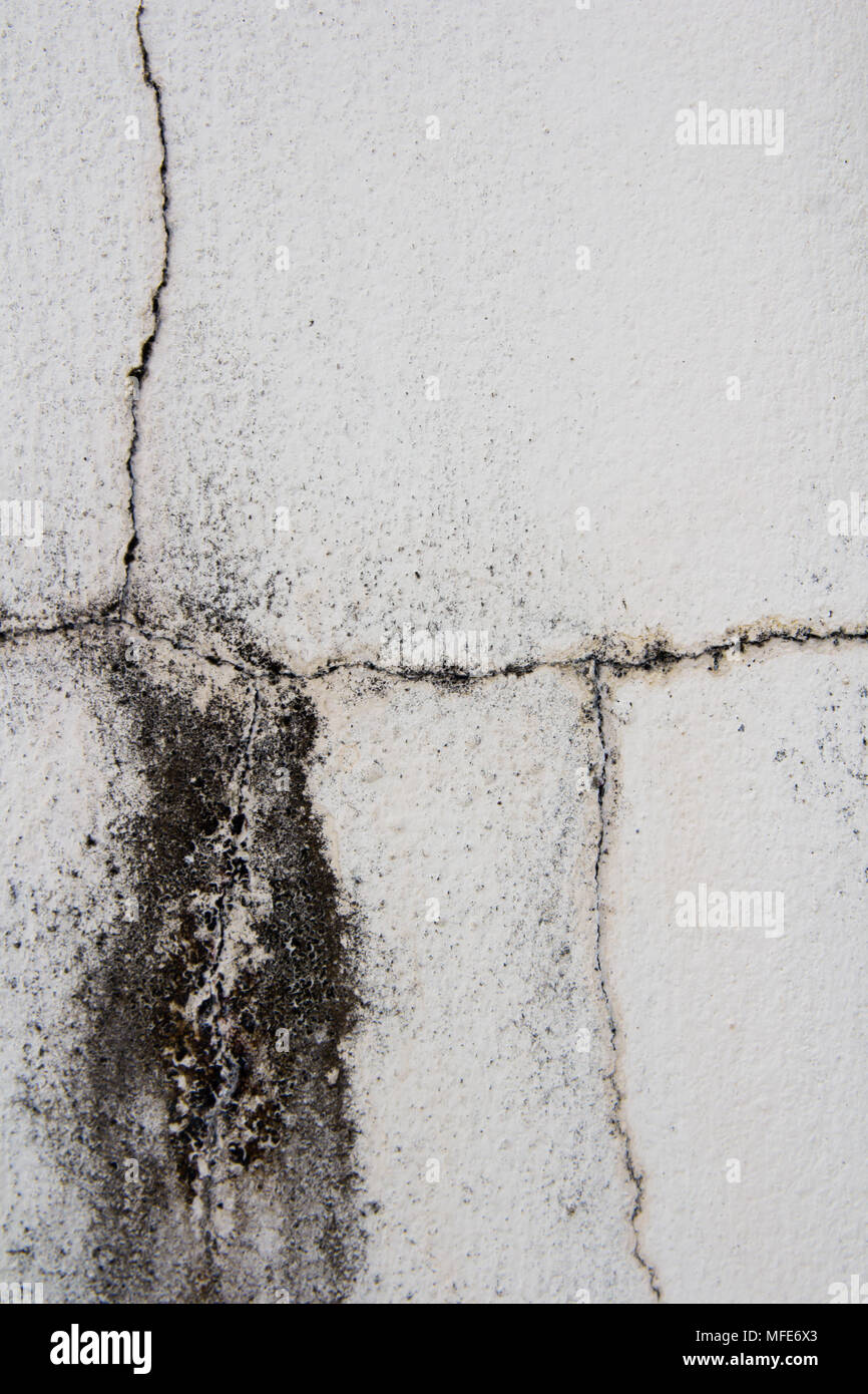 Old Concrete Wall. Sharp to the corners Stock Photo - Alamy