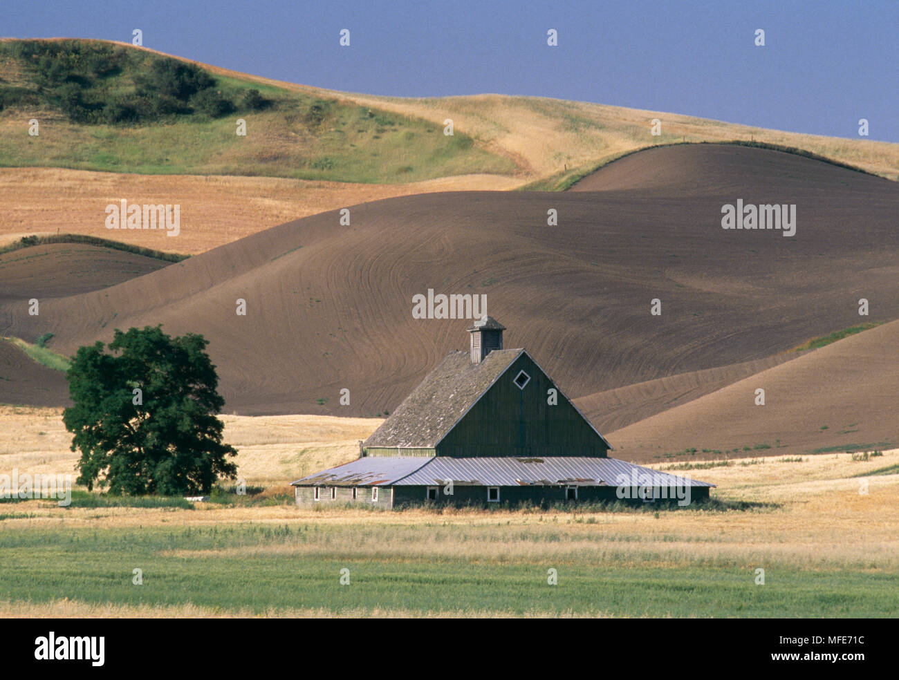 Landscape in palouse agricultural area hi-res stock photography and ...