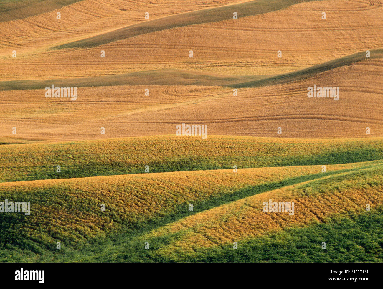 CROP PATTERNS in fields Palouse Area, eastern Washington, north western ...