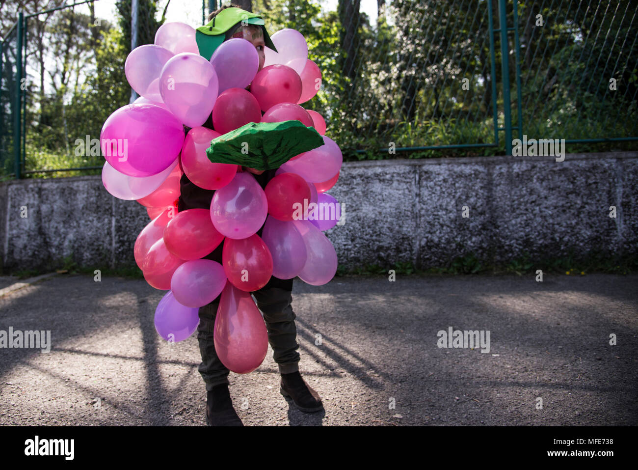 boy in costumes of raspberries in front of the carnival Stock Photo - Alamy