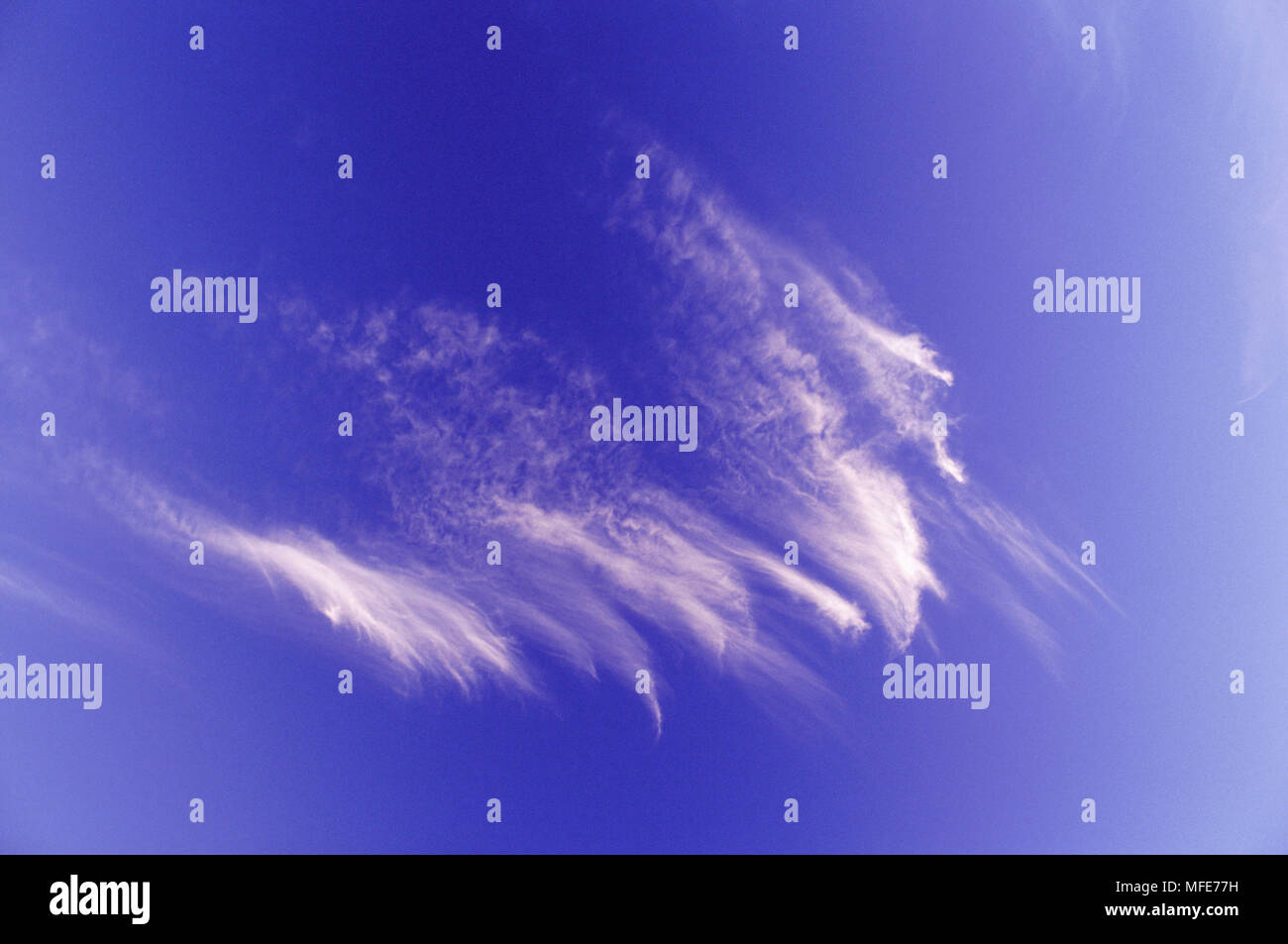 CIRRUS CLOUDS also called Horsetail or Marestail Stock Photo - Alamy
