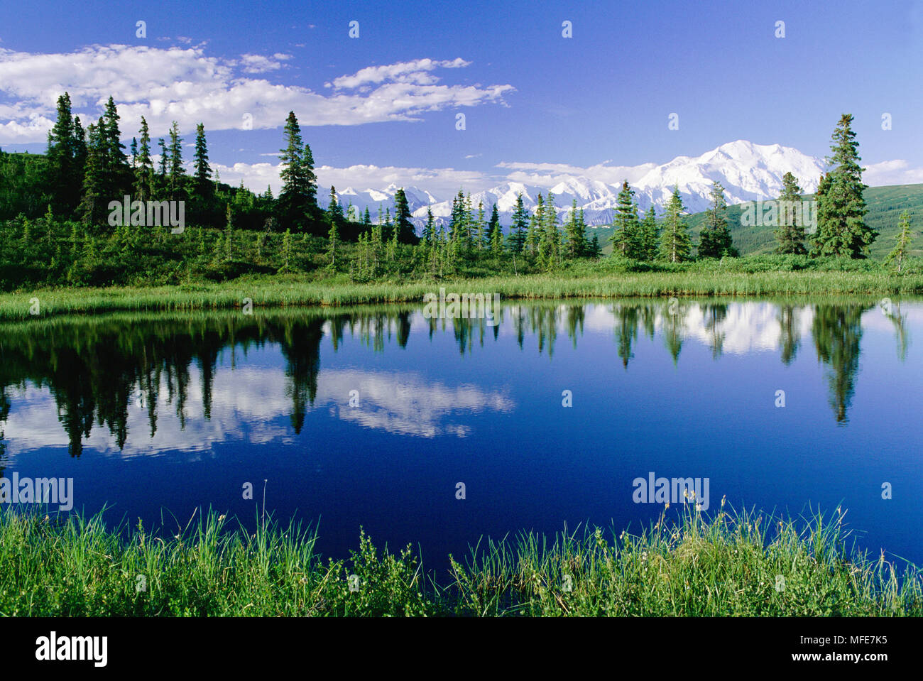 MOUNT McKINLEY & reflection Denali National Park, Alaska, USA Stock ...