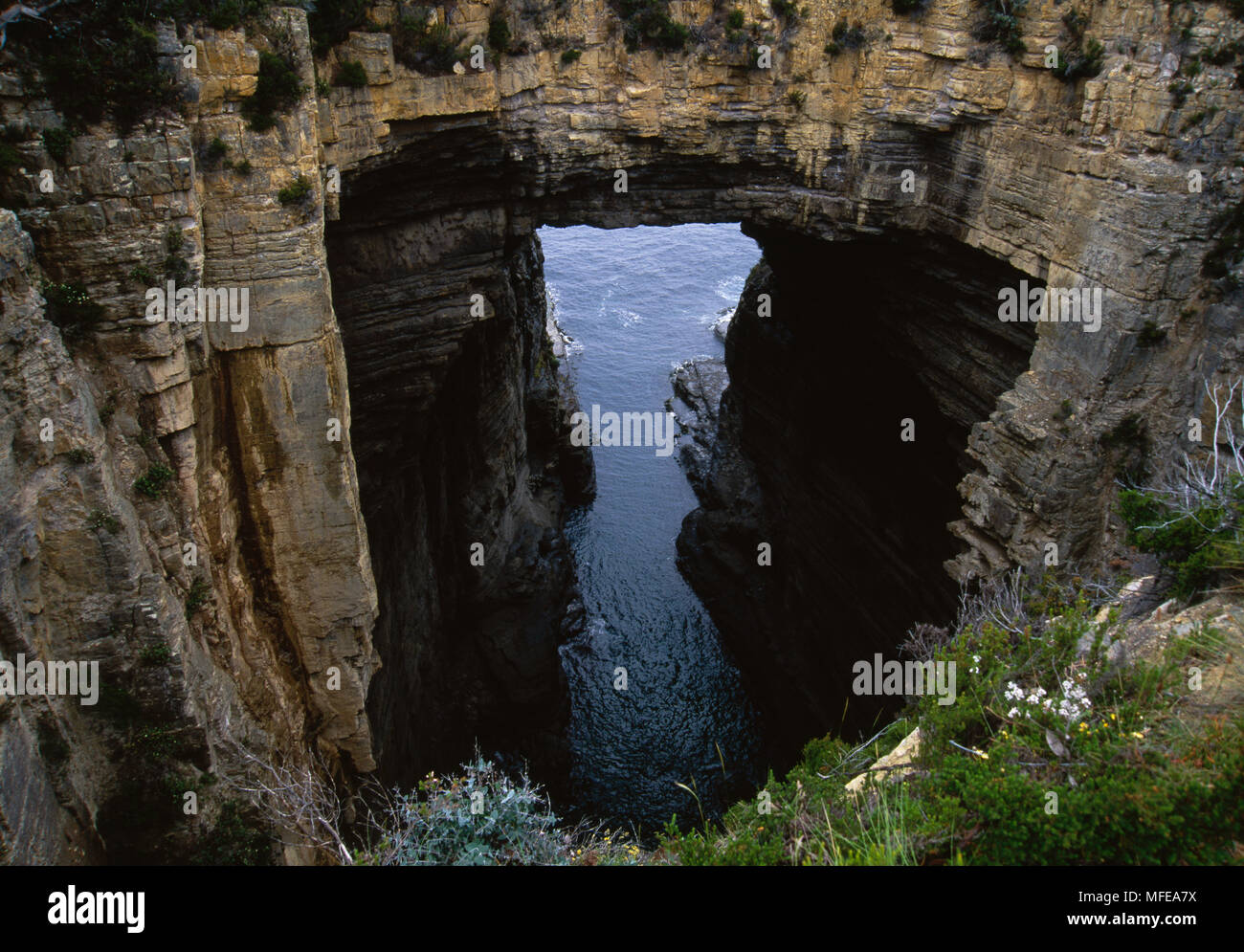 Tasman arch tasmania hi-res stock photography and images - Alamy