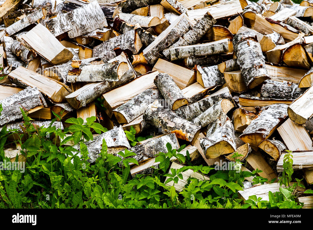 Chopped logs for winter fire. Pile of chopped fire wood prepared for ...