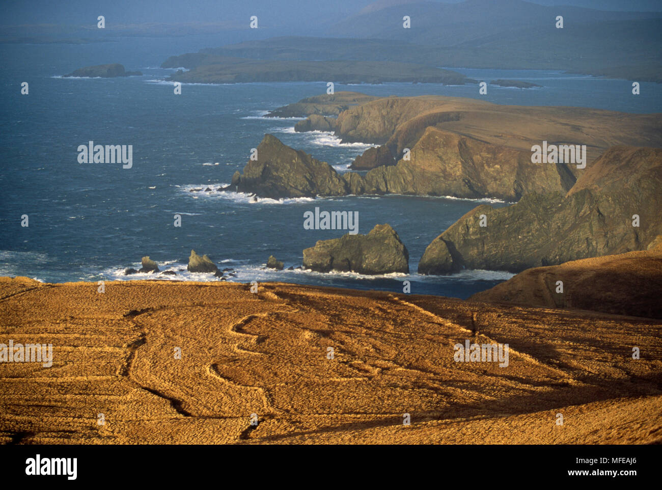 PEAT EXTRACTION South Mainland, Fitful Head, Shetland Islands, Scotland ...