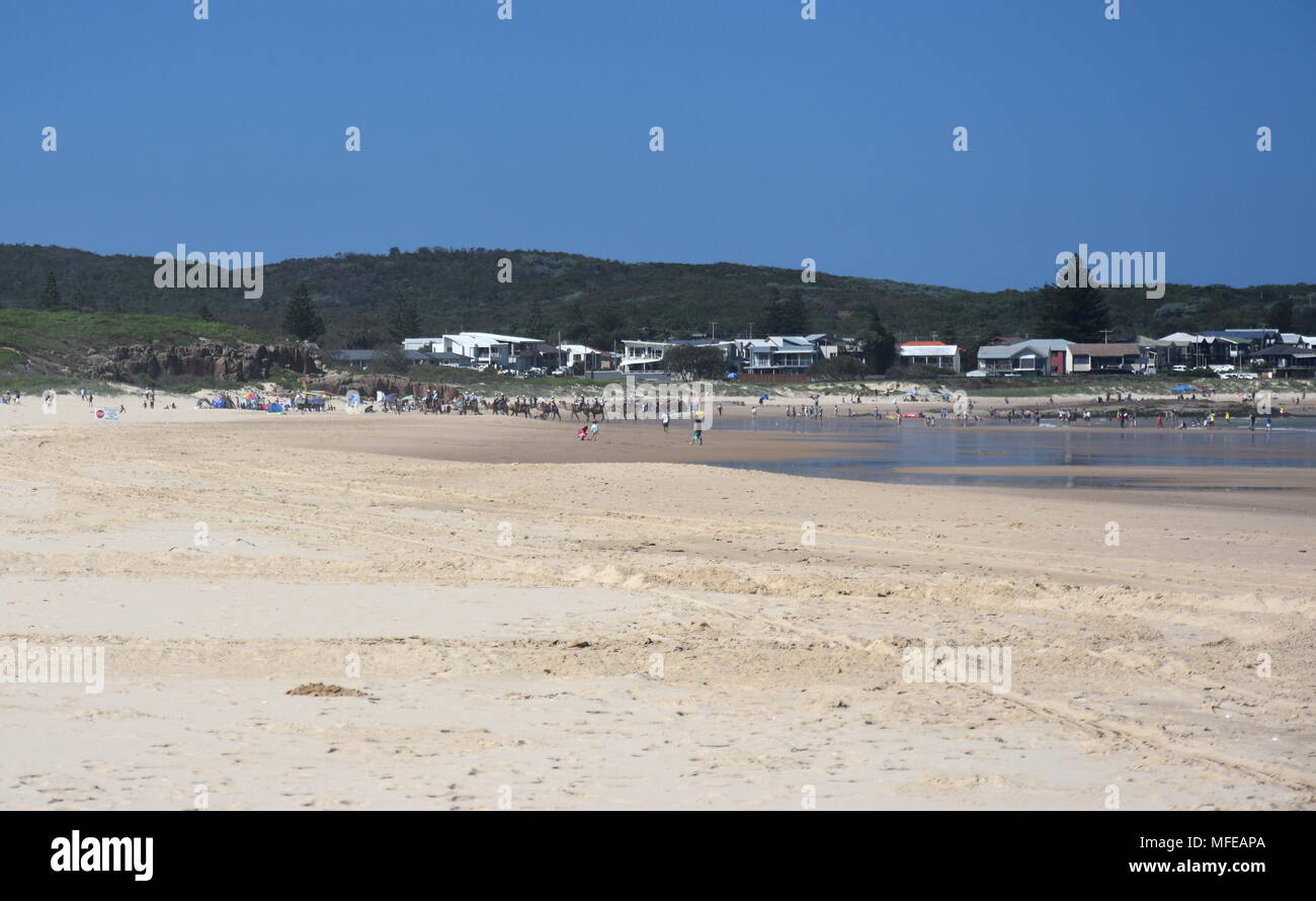 Tourist riding camel on Birubi beach (NSW, Australia). With soft, silky ...