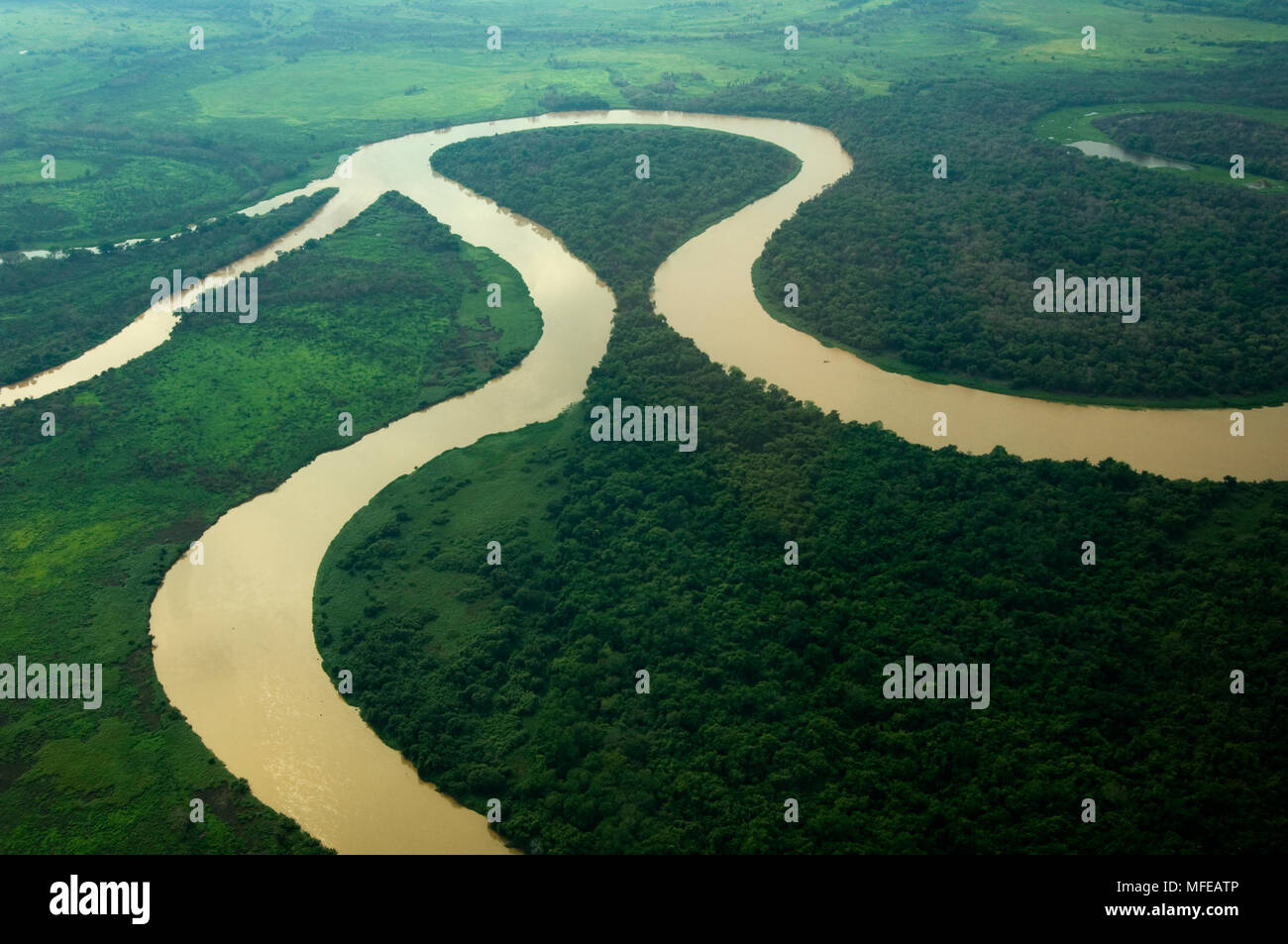 Rainforest and cuiaba river hi-res stock photography and images - Alamy