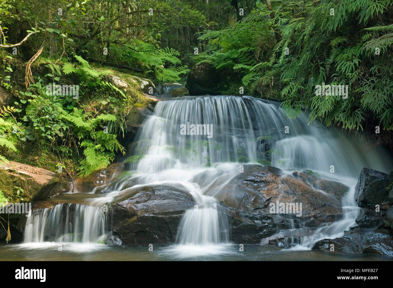 RAINFOREST WATERFALL Andasibe-Mantadia National Park, Madagascar Stock ...