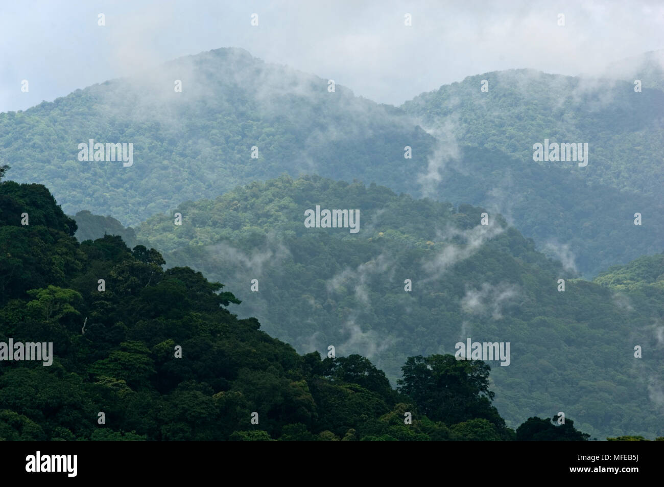 Trinidad northern range hi-res stock photography and images - Alamy