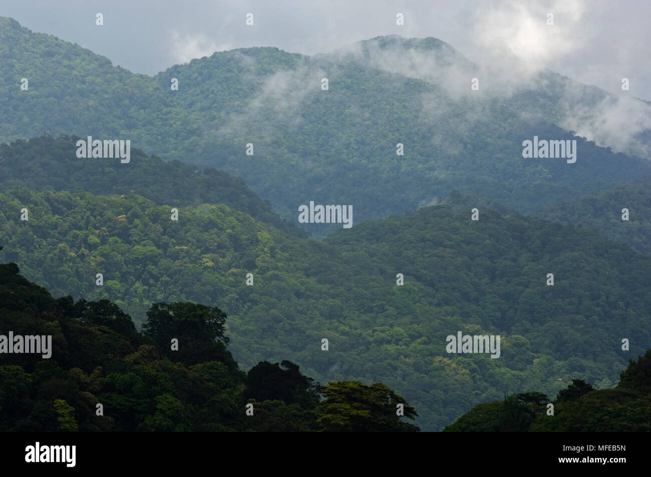 Northern range trinidad hi-res stock photography and images - Alamy