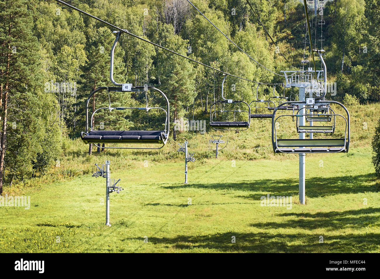 Green Forest. Rise on cable car. Beautiful landscape Stock Photo - Alamy