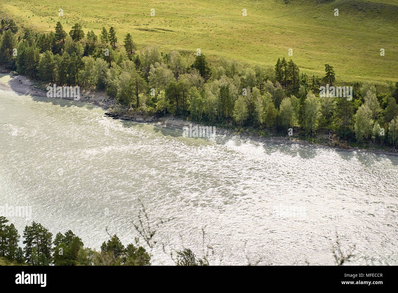 Green trees. Beautiful landscape. River flow Stock Photo - Alamy