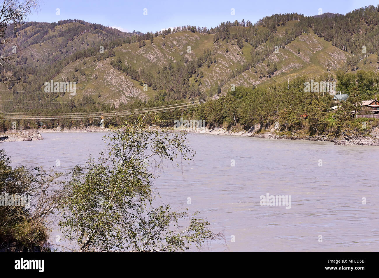 Mountain river. Green Forest. Beautiful landscape. Tree branch Stock ...
