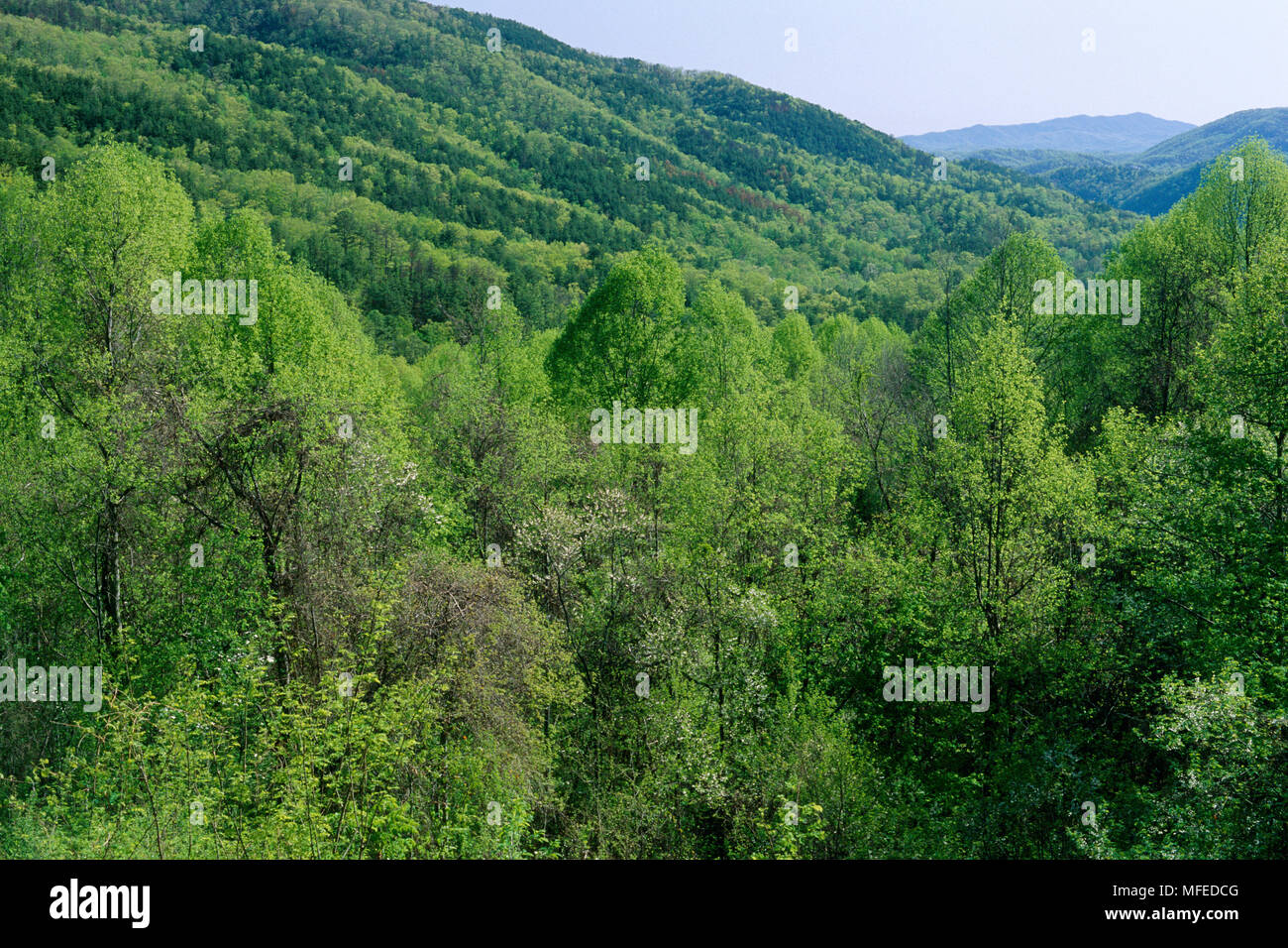 Sugarlands centre hi-res stock photography and images - Alamy