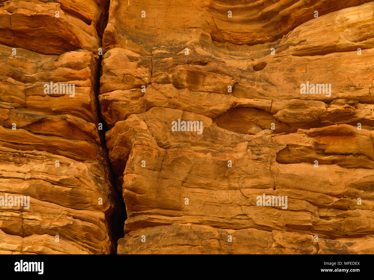 SANDSTONE ROCKFACE Zion National Park, Utah, USA Stock Photo - Alamy