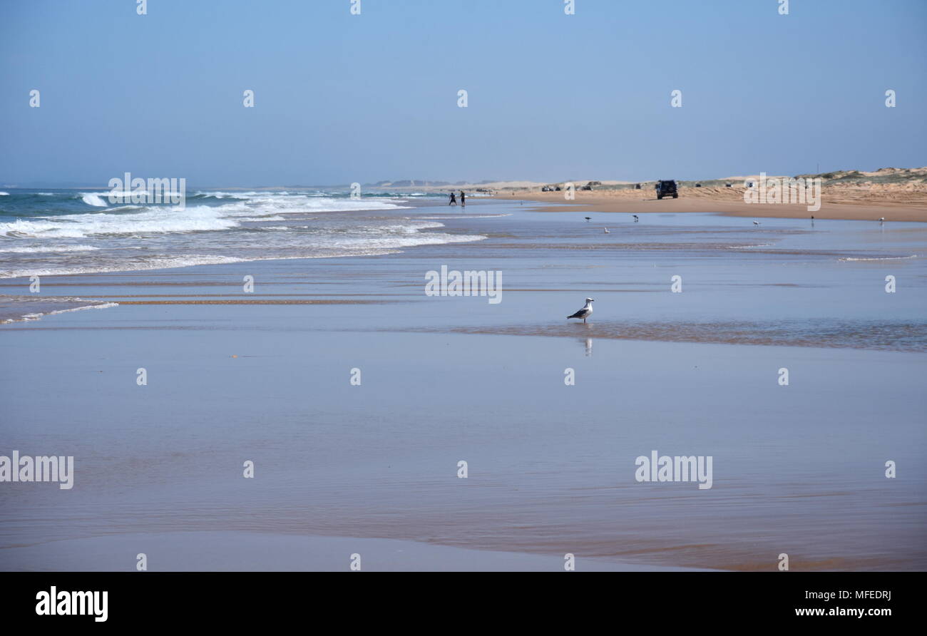 Stockton beach nsw hi-res stock photography and images - Alamy