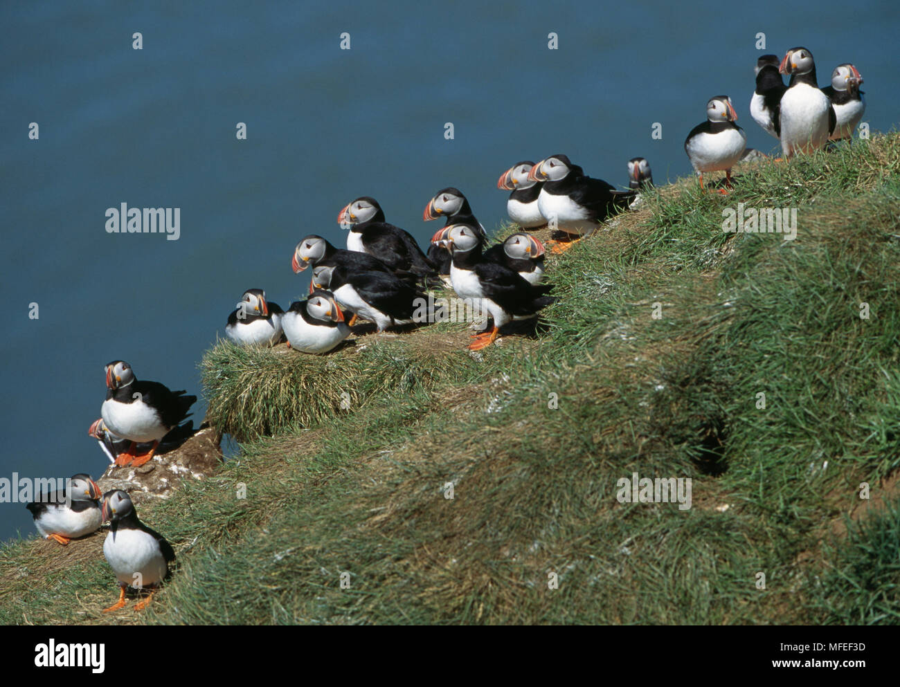 Jsh008585a hi-res stock photography and images - Alamy