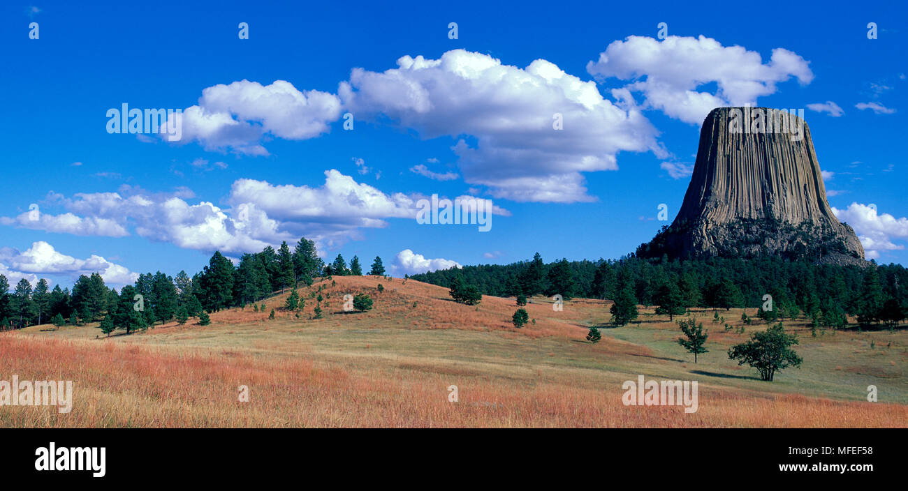 DEVIL'S TOWER Devils Tower National Monument, Wyoming USA Stock Photo ...