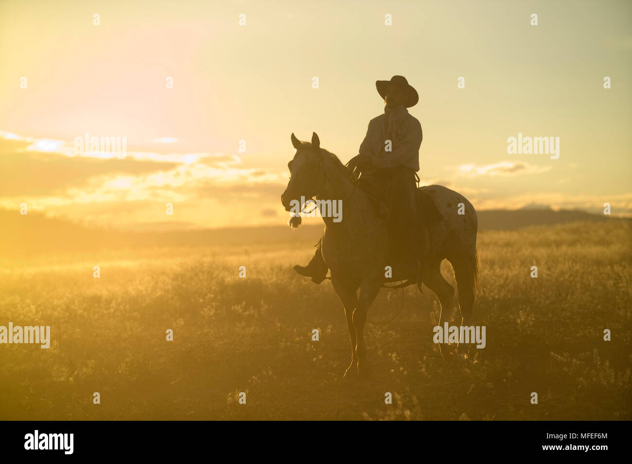 COWBOY at sunset Oregon USA Stock Photo - Alamy