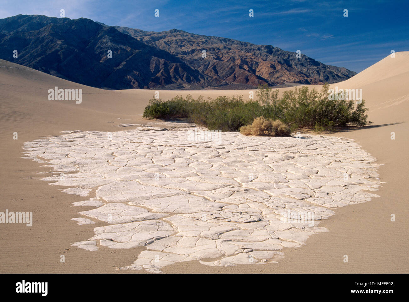 CRACKED MUD AND SAND DUNES Mesquite Flats, Death Valley National Park ...