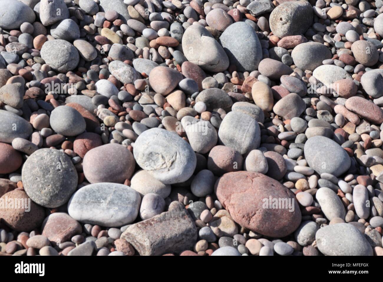 Pebbles on pebble beach Stock Photo - Alamy