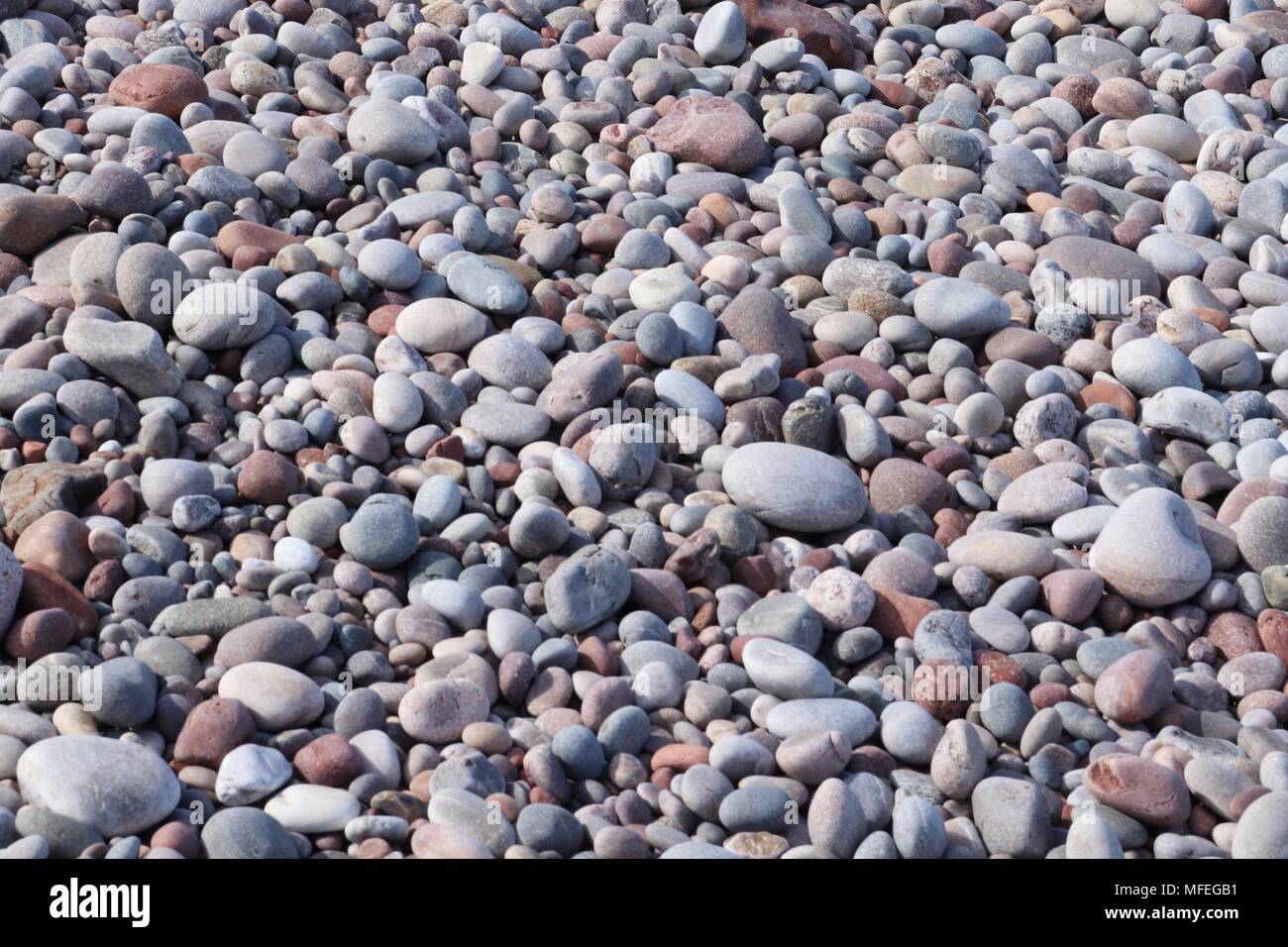 Pebbles on pebble beach Stock Photo - Alamy